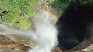 Disneynature: Earth – Animated Views